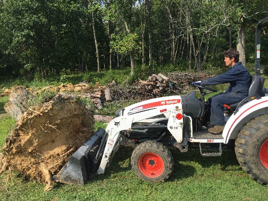 Bobcat CT230 - Reviews, Photos, Prices, Specs - TractorByNet.com